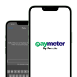 PayMeter NG | Simplifying Electricity Payments for Nigerians – Pay with ...
